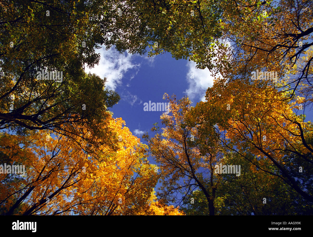 Colors of Autumn Stock Photo - Alamy