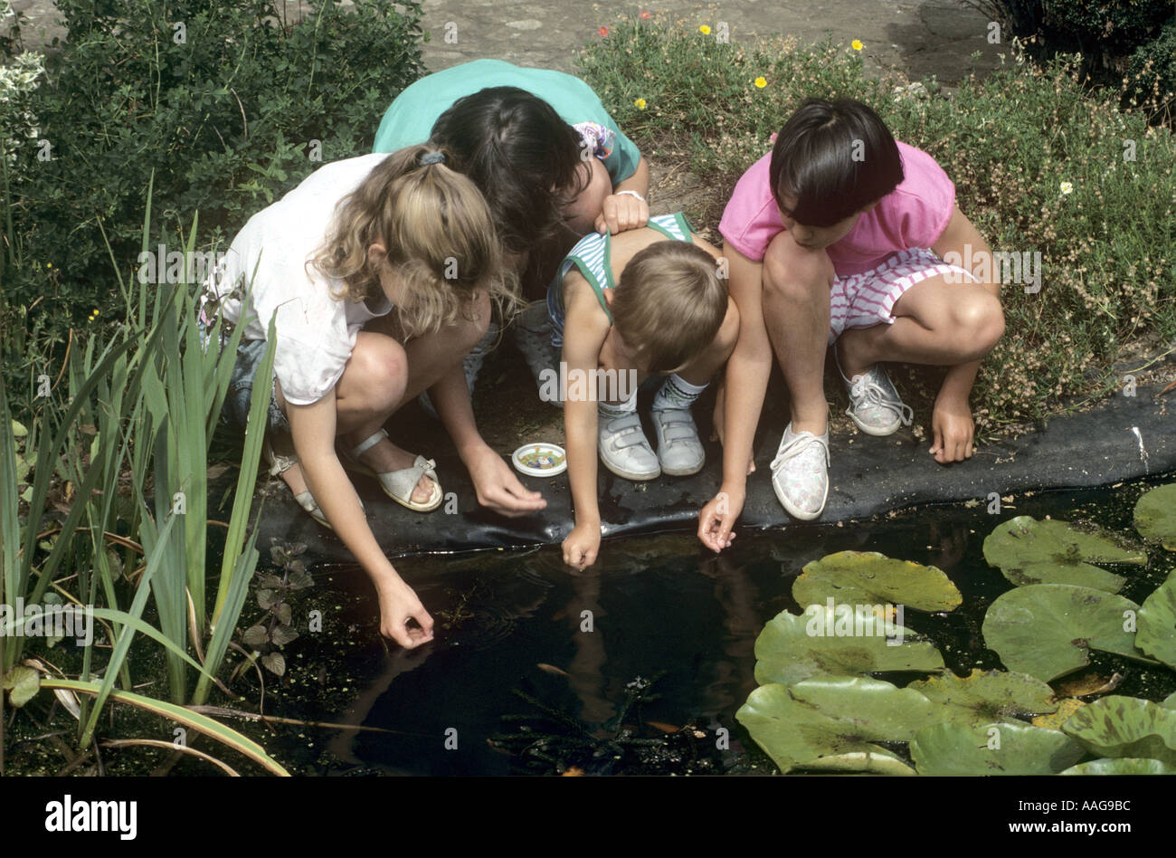 Children feeding fish Stock Photo - Alamy