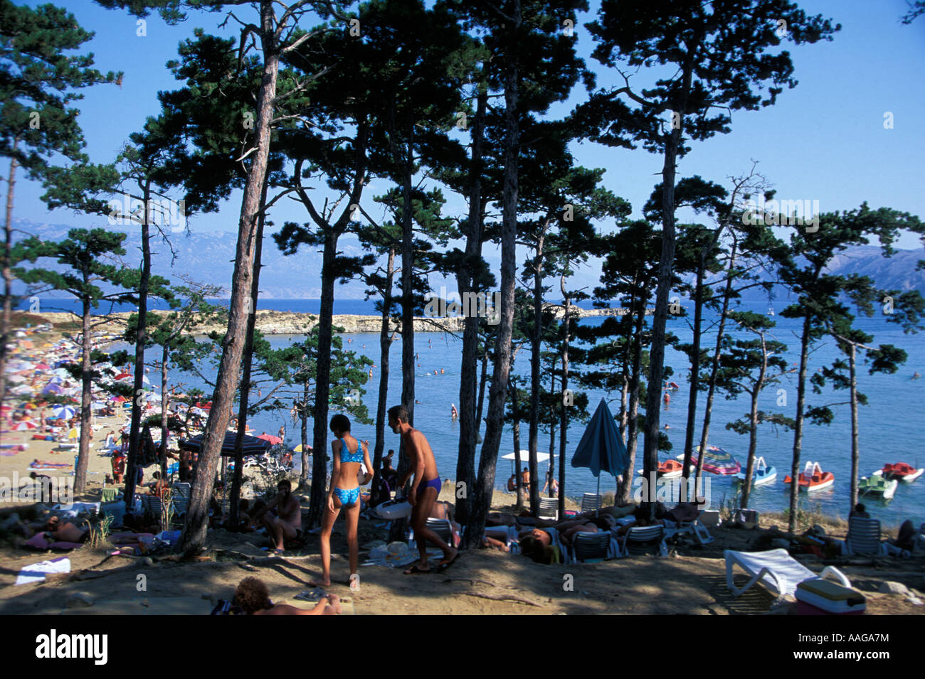 Beach Lopar Rab island bay of Kvarner Croatia Stock Photo - Alamy