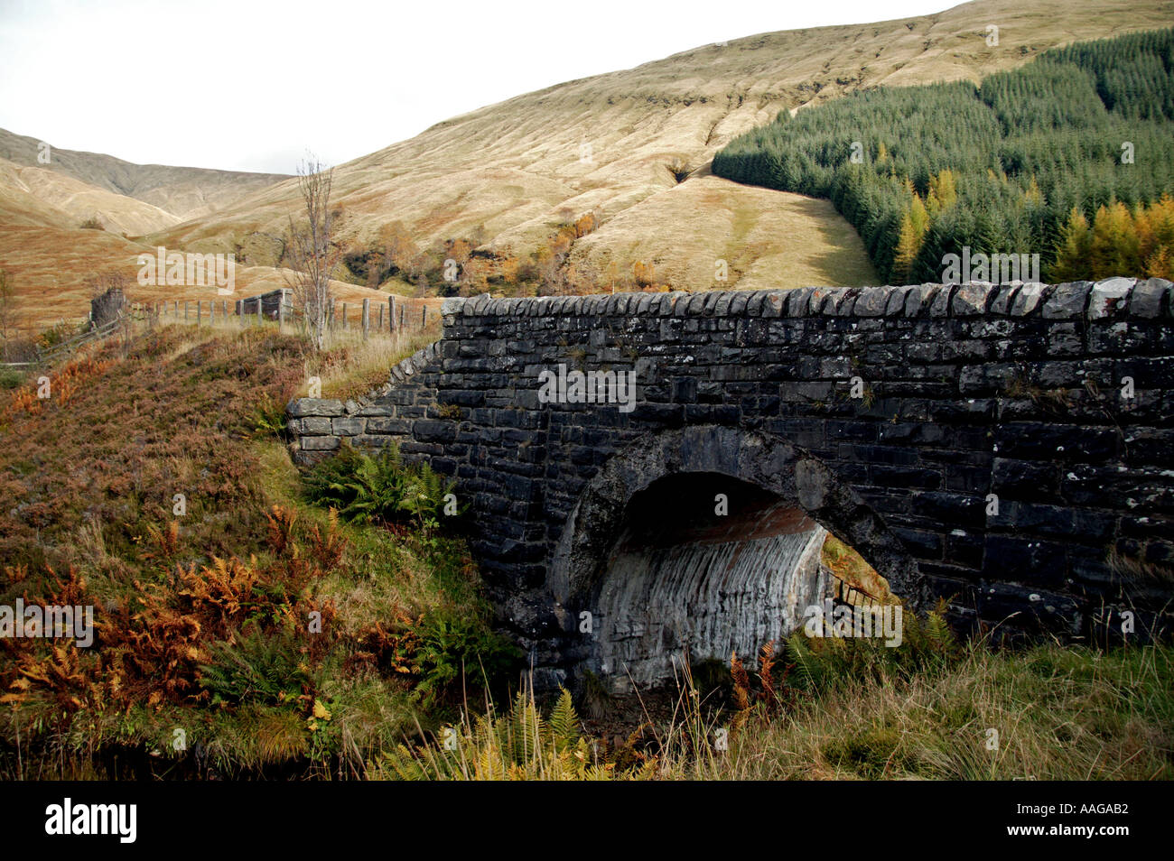Deforestation scotland hi-res stock photography and images - Alamy