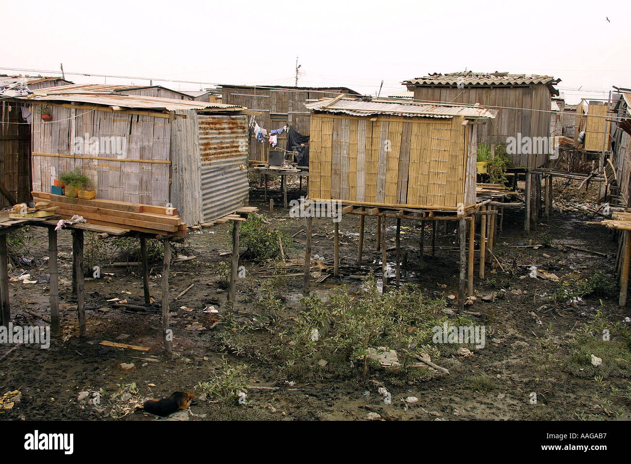 Slums Quayaquil Ecuador Stock Photo - Alamy