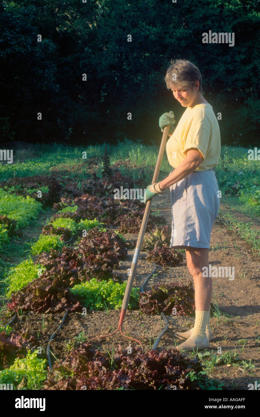 Carol Ann Sayle at Boggy Creek Farm Austin texas Stock Photo - Alamy