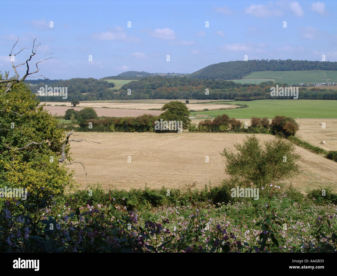 Usk Valley Walk near Usk South Wales UK 2004 Stock Photo - Alamy