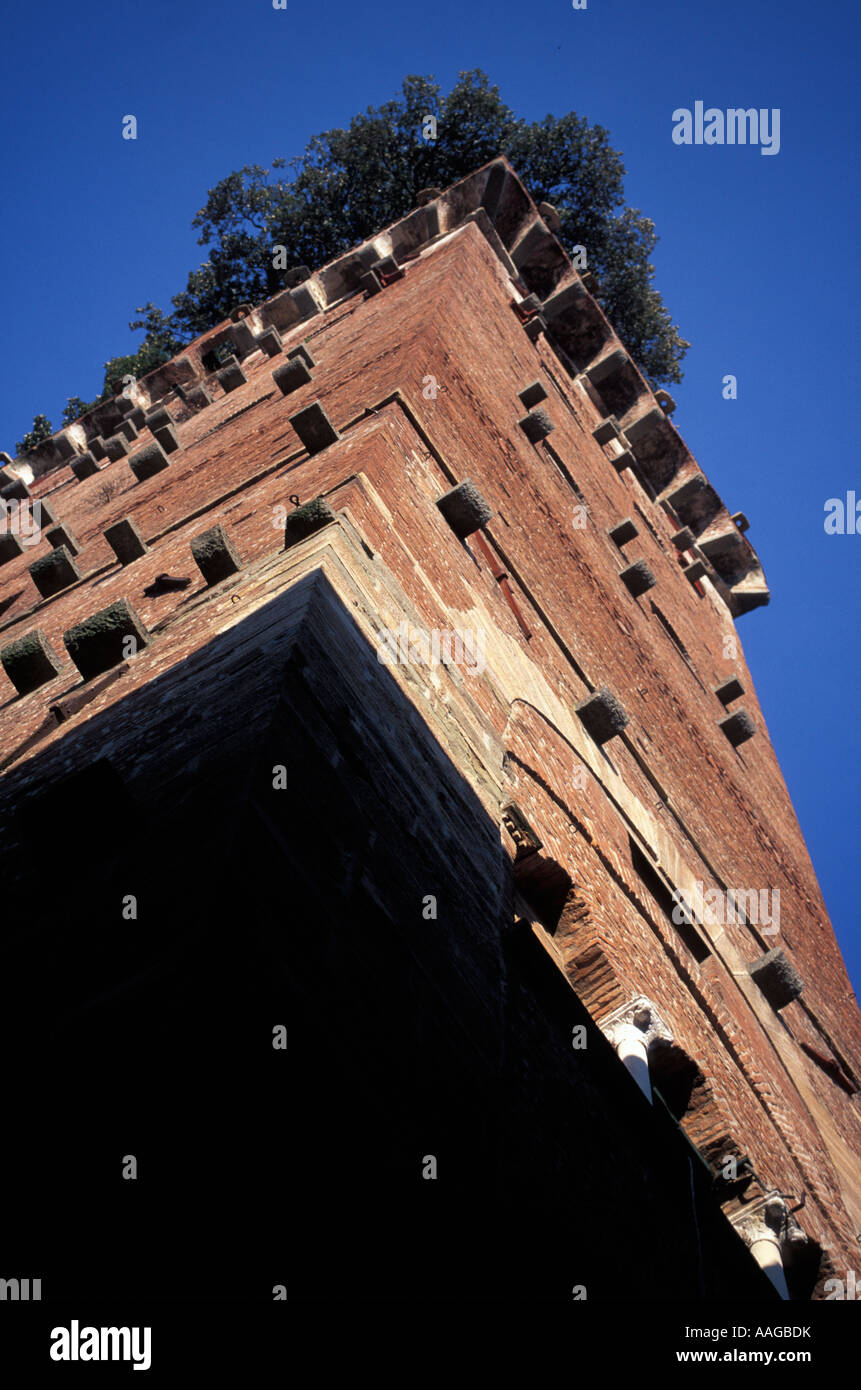 Torre guinigi toskana hi-res stock photography and images - Alamy