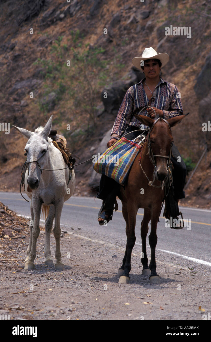 Man riding on mule Mex 200 Coastal Road Jalisco Mexico Stock Photo - Alamy