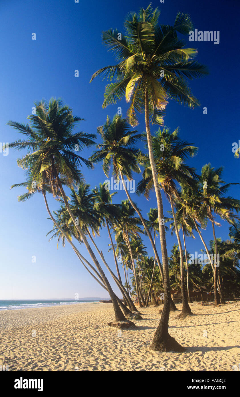 Colva Beach Goa India Stock Photo - Alamy
