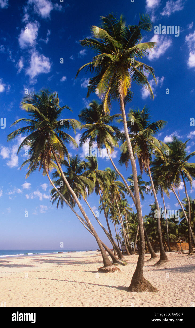 Margao to colva hi-res stock photography and images - Alamy