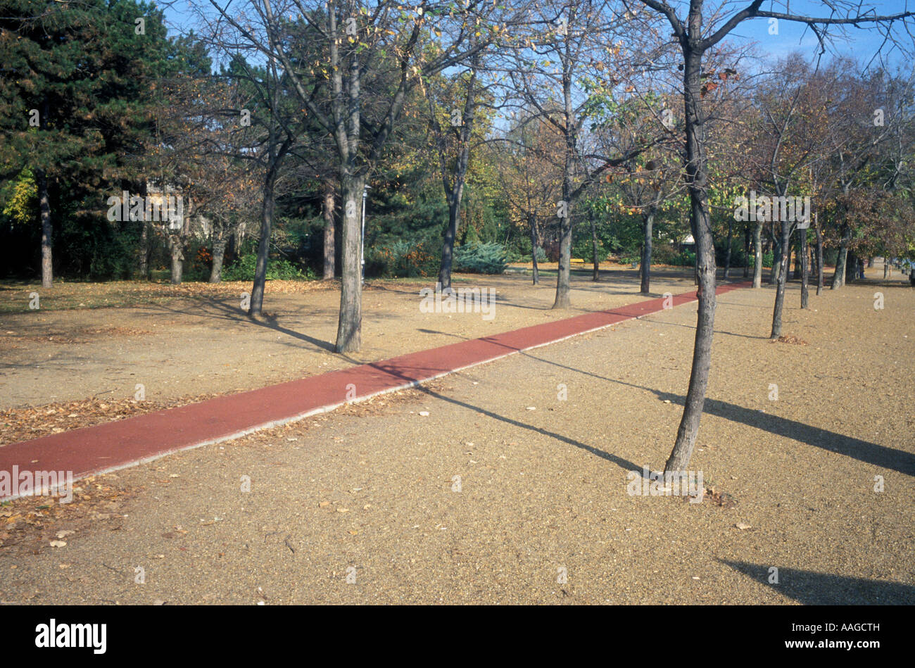 Joggers' path on Margaret Island, Budapest, Hungary Stock Photo - Alamy