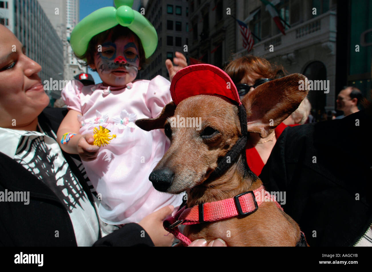Easter new york parade dog hi-res stock photography and images - Alamy
