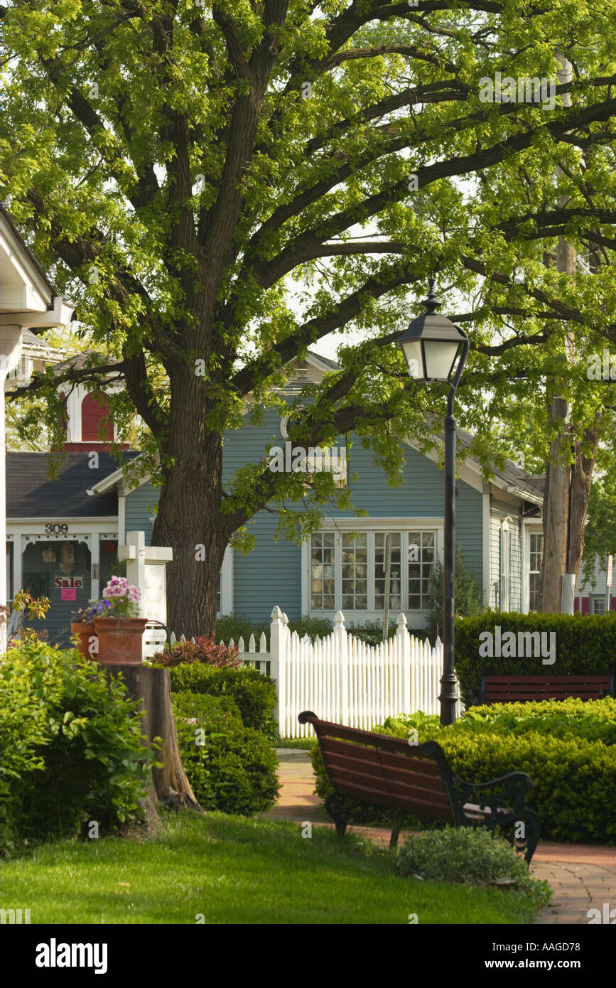 ILLINOIS Long Grove Bench along sidewalk trees and stores in quaint ...