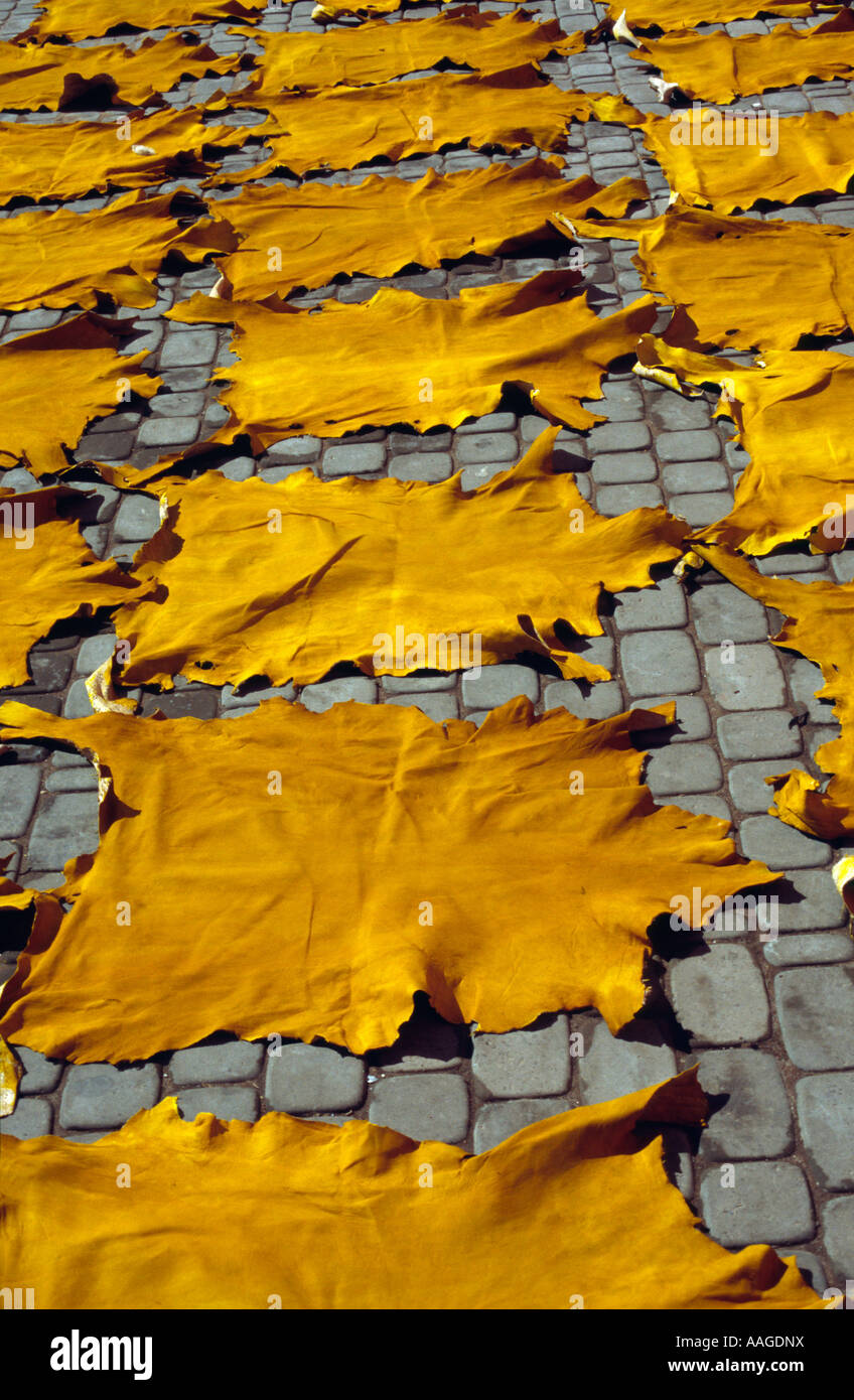 Moroccan leather - Marrakesh, MOROCCO Stock Photo - Alamy