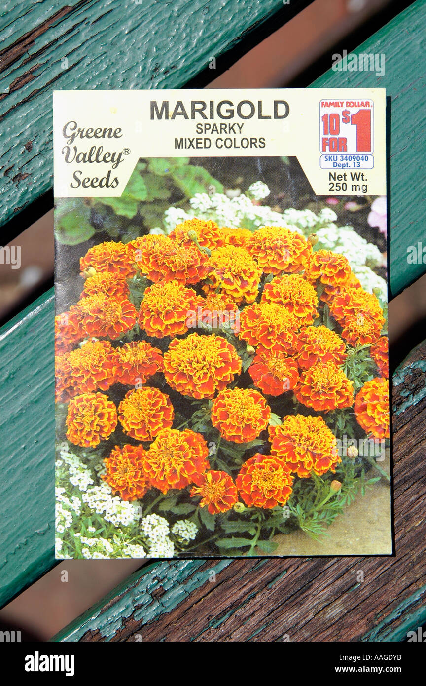 Flower seeds packet hi-res stock photography and images - Alamy