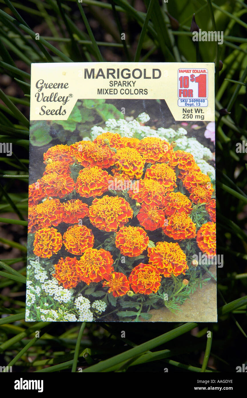 Packet of marigold seeds hi-res stock photography and images - Alamy