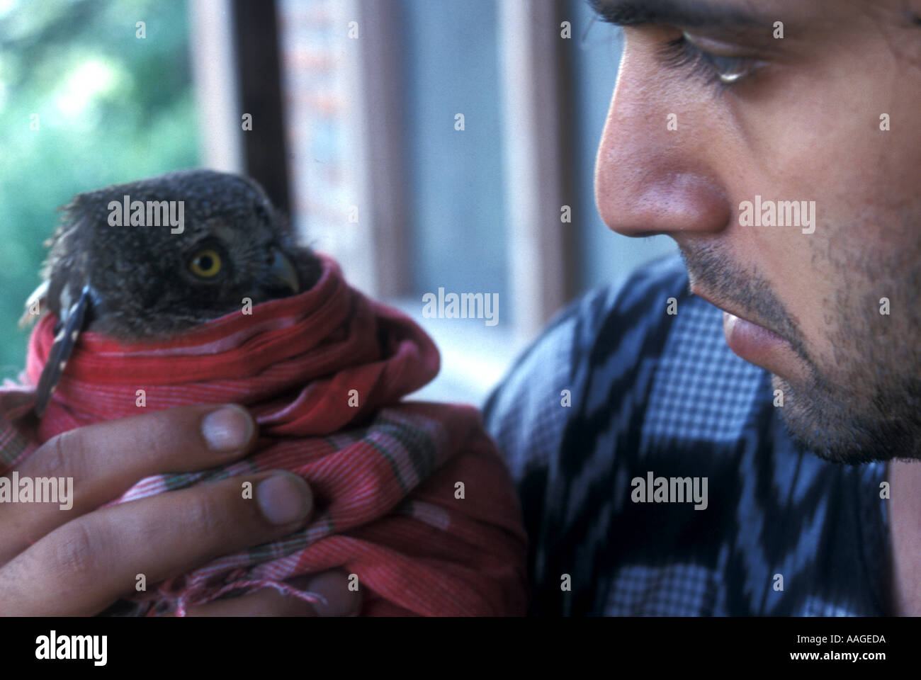 Men and owl hi-res stock photography and images - Alamy
