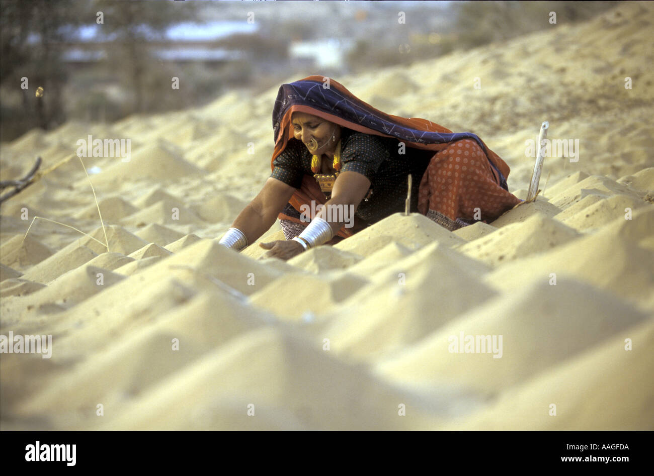 Bishnoi tribes hi-res stock photography and images - Alamy