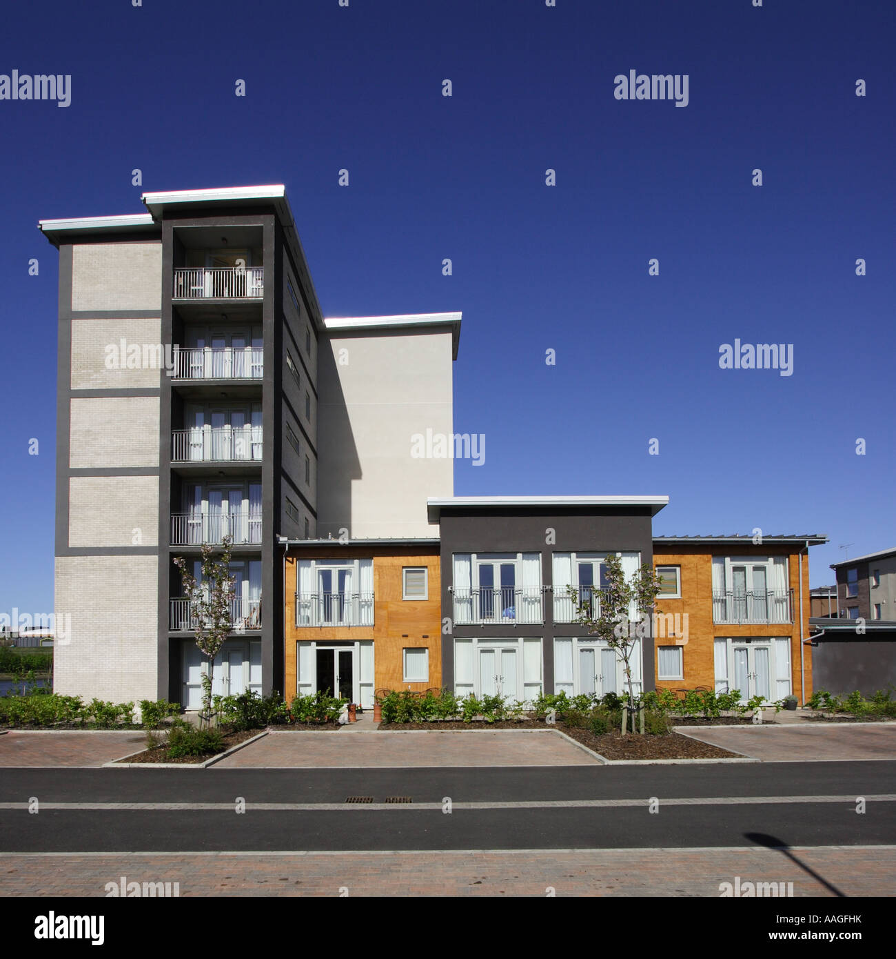 Gerardine hemingway hi-res stock photography and images - Alamy