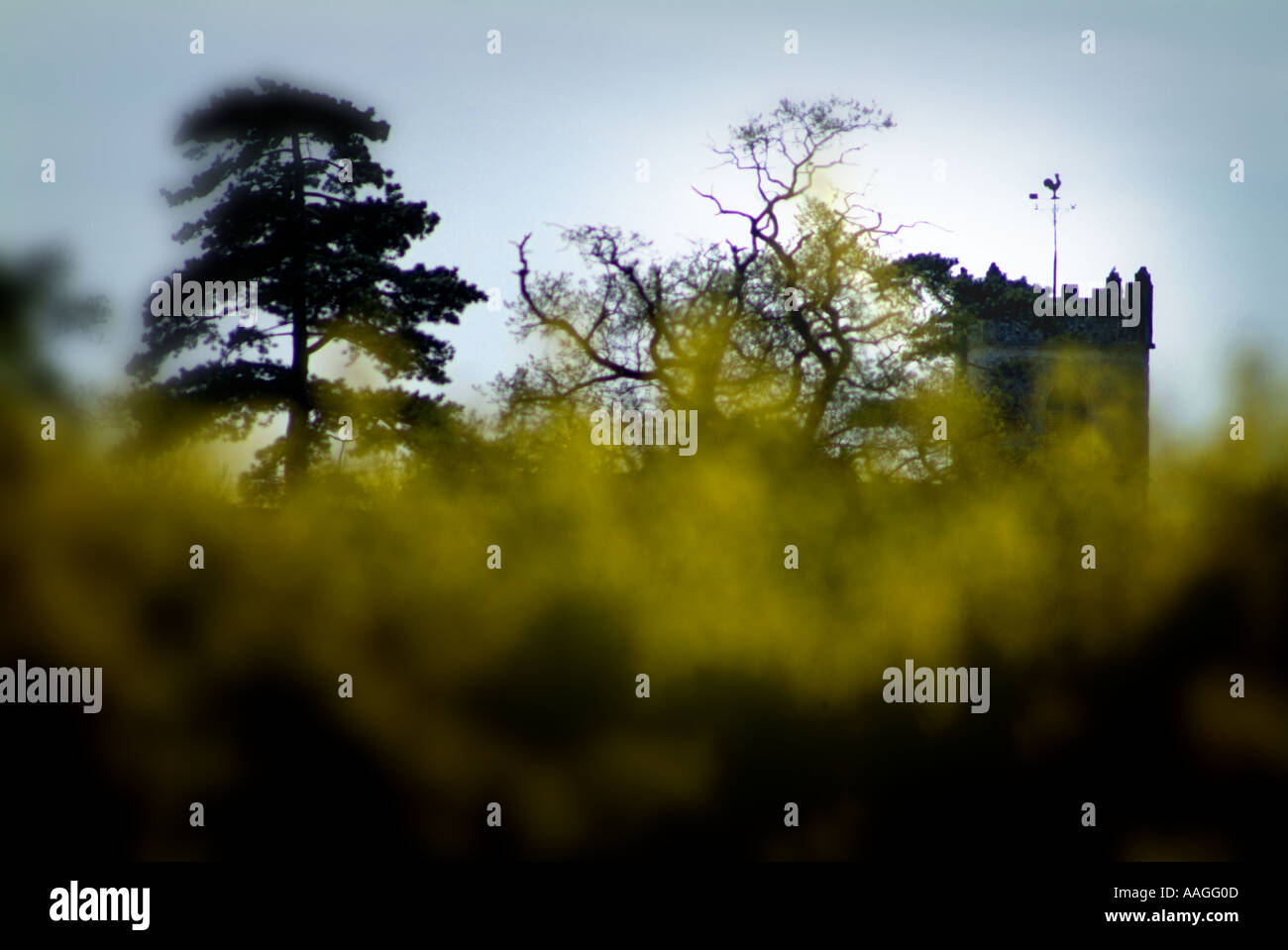 Ellingham hi-res stock photography and images - Alamy