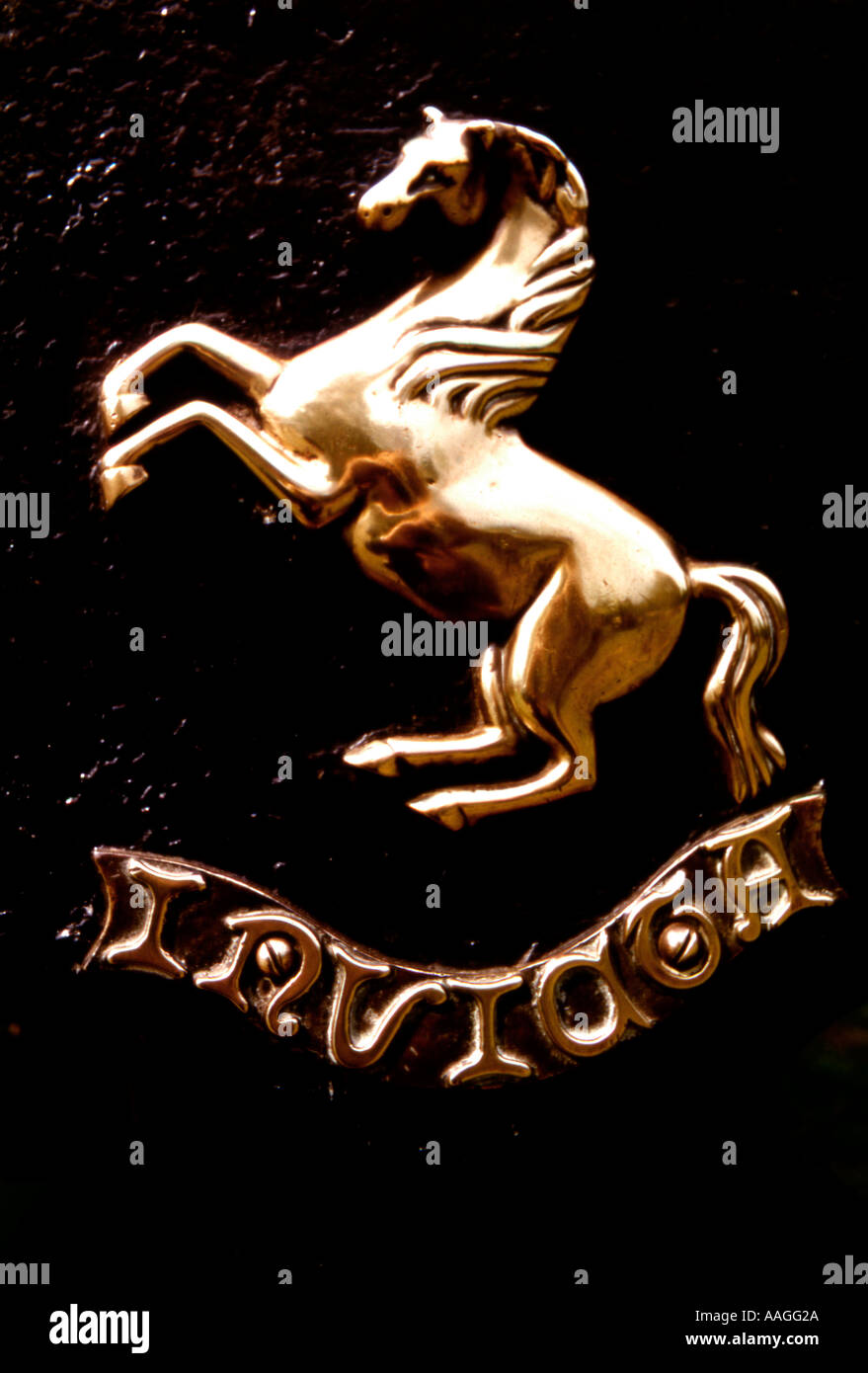 Invicta horse hi-res stock photography and images - Alamy