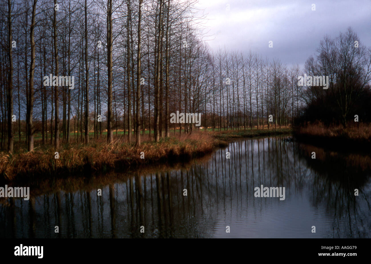 Geldeston norfolk broads hi-res stock photography and images - Alamy