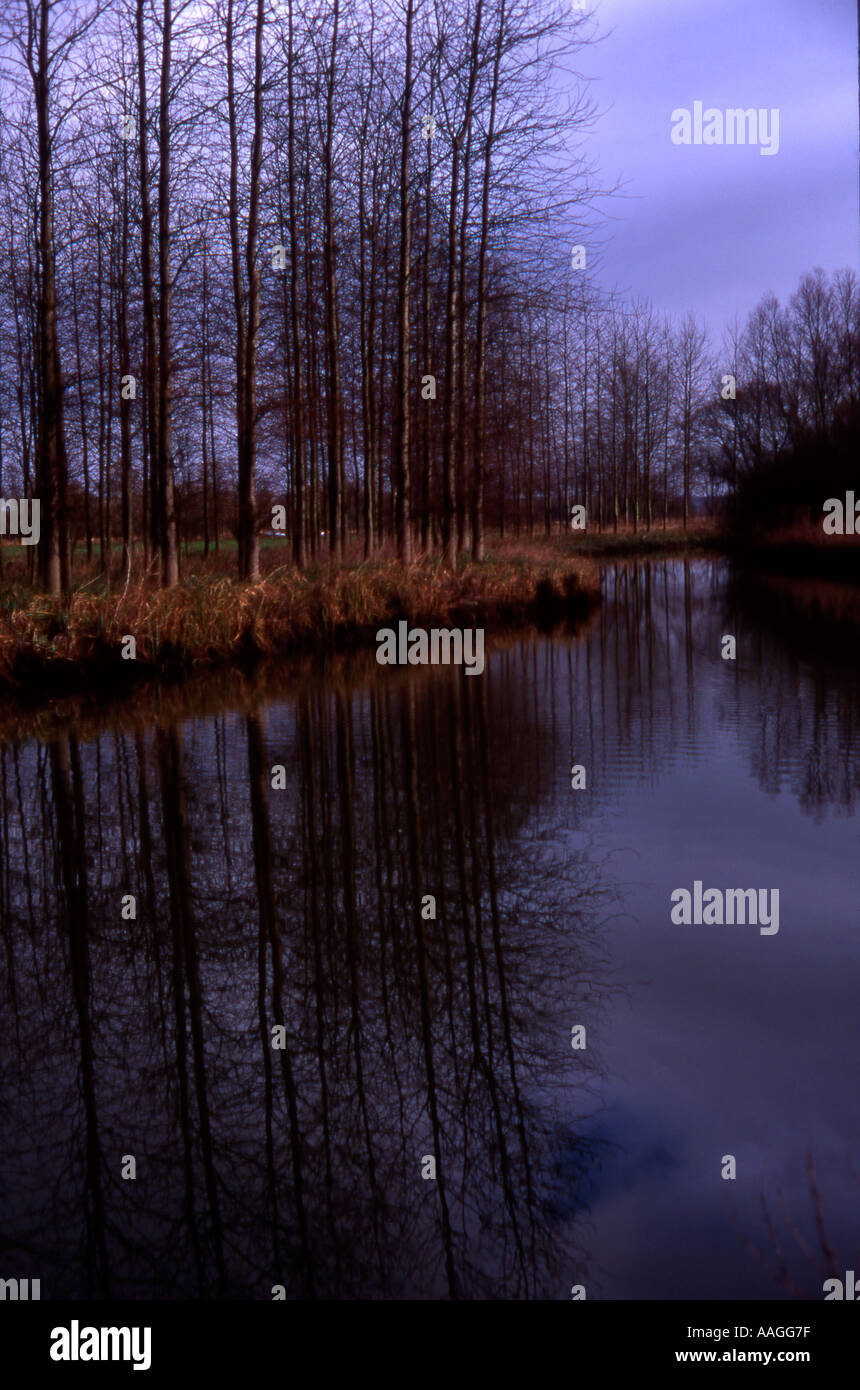 Geldeston norfolk broads hi-res stock photography and images - Alamy