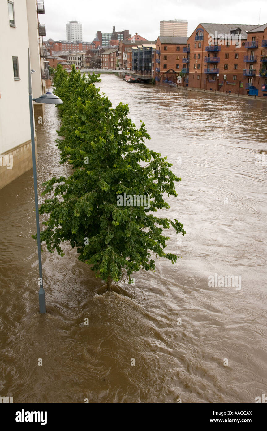 Flooded River Aire submerged tow path at Brewery Wharf. Leeds, West ...