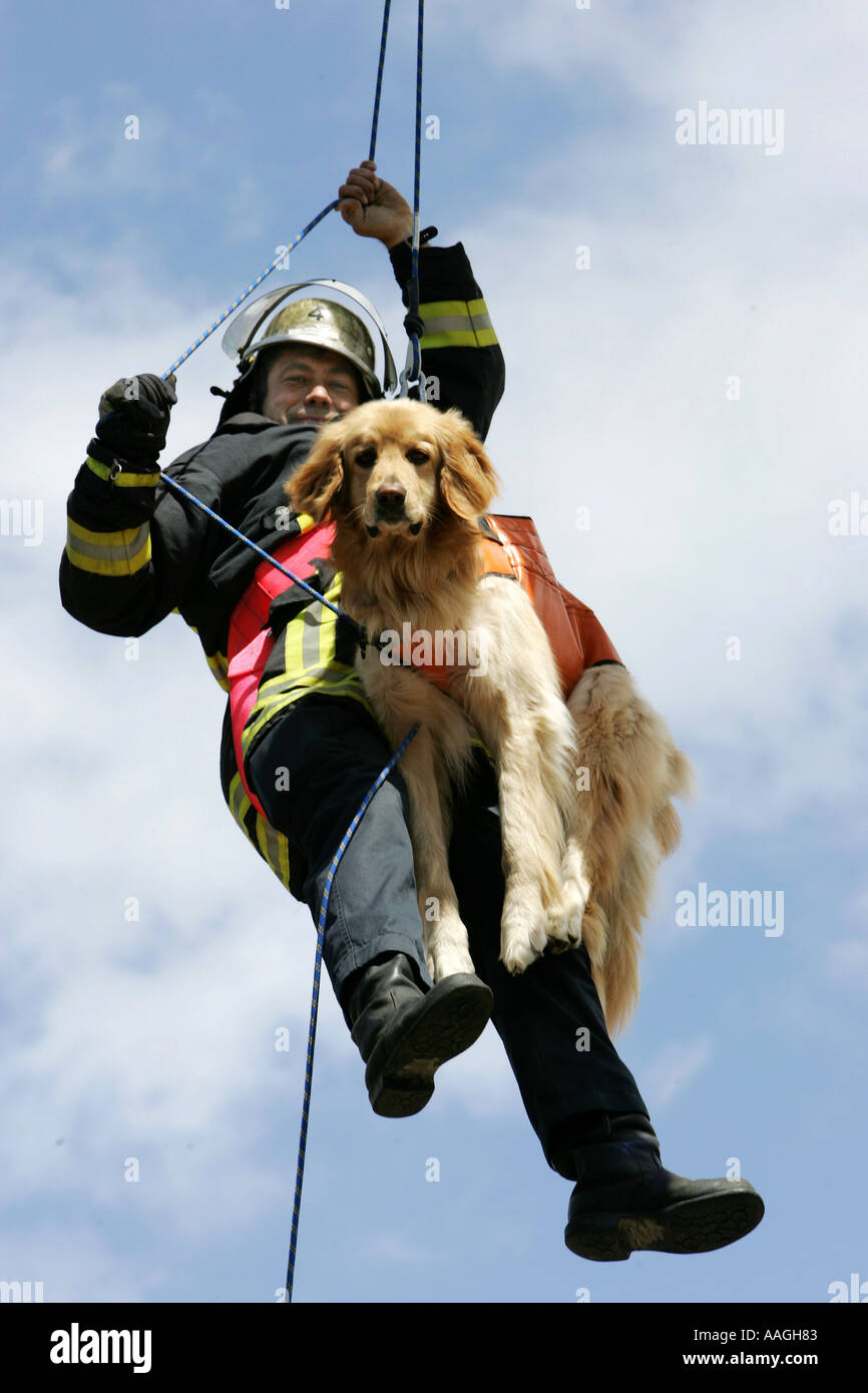 Rescue dogs of the fire service in Germany Stock Photo - Alamy