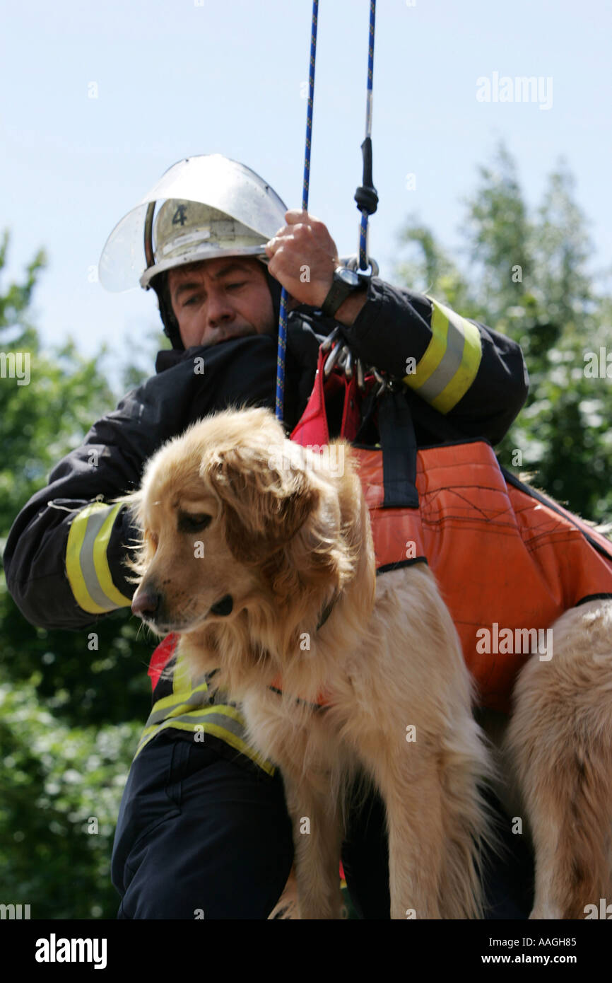 Search and rescue dogs hi-res stock photography and images - Alamy