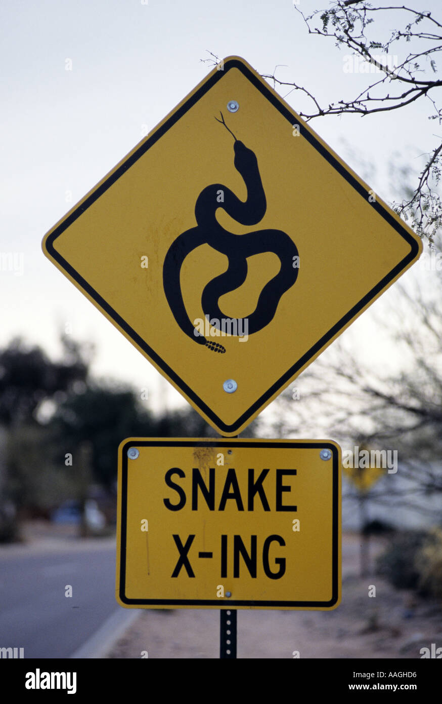 Roadsign warning of snakes crossing the road Stock Photo - Alamy