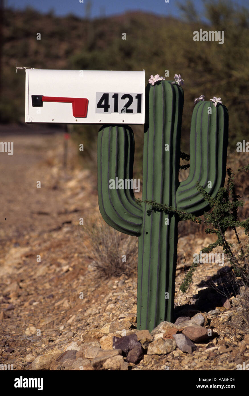 Mailbox in cactus design Arizona Stock Photo - Alamy
