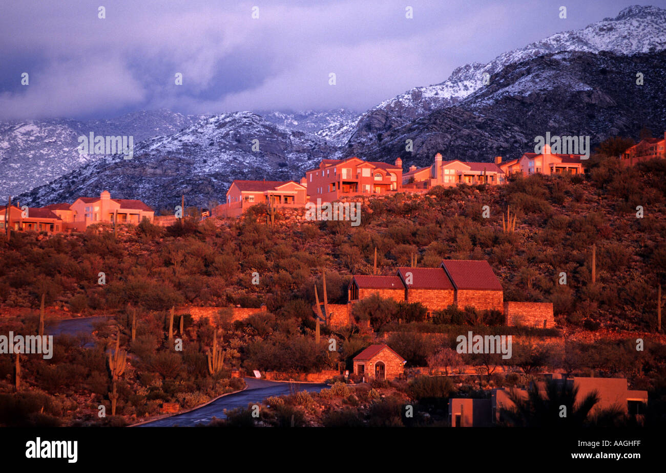 North Tucson housing estates Santa Catalina Mountains Stock Photo - Alamy