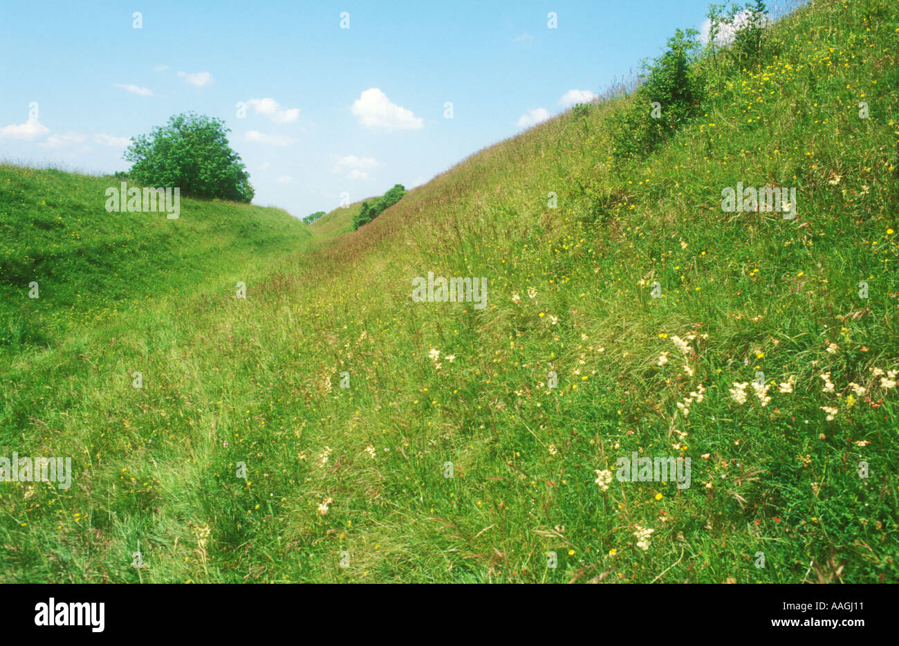 Hod Hill the Iron Age ramparts that are now chalk downland Stock Photo ...