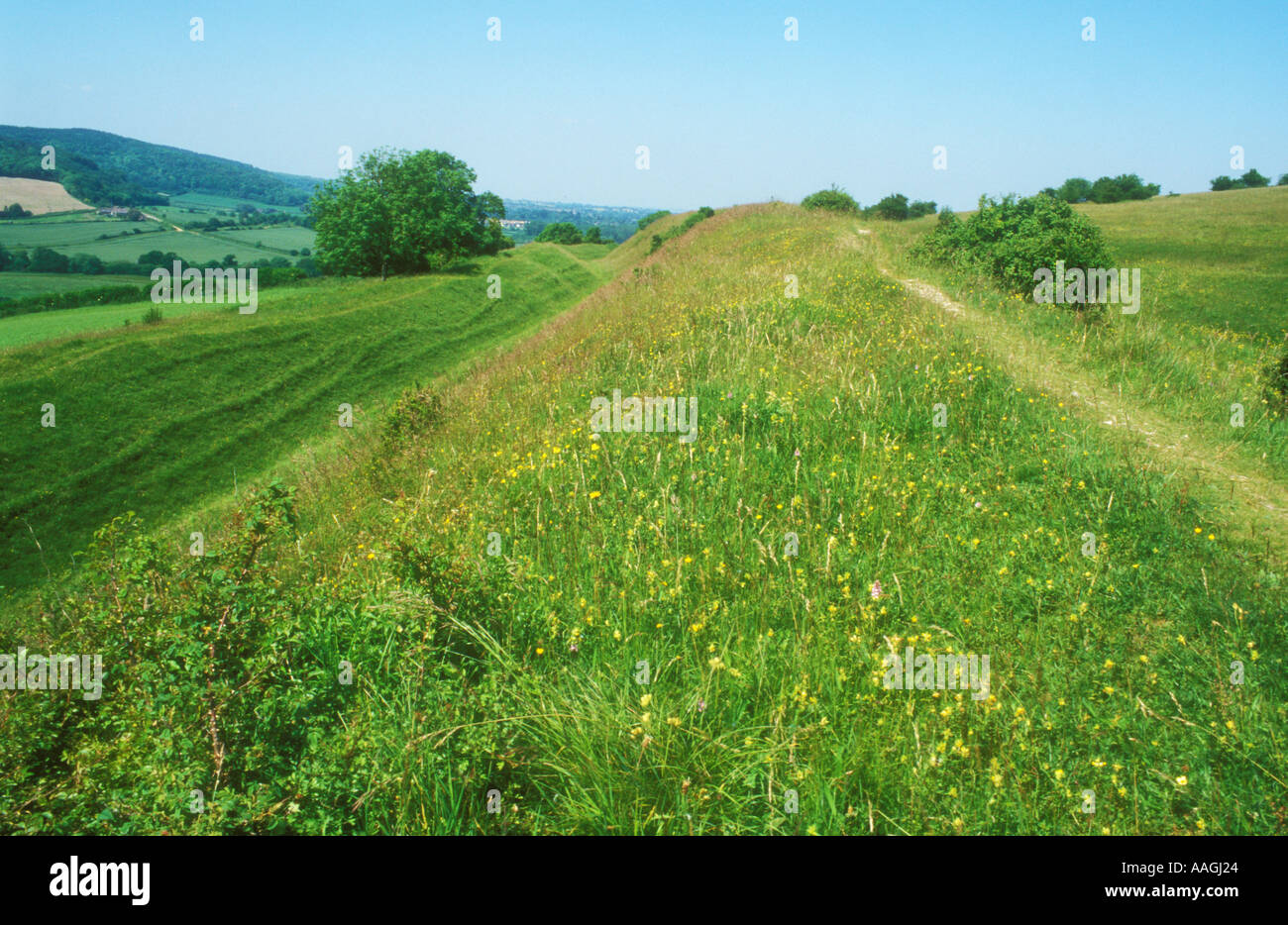 Hod Hill the Iron Age ramparts that are now chalk downland Stock Photo ...