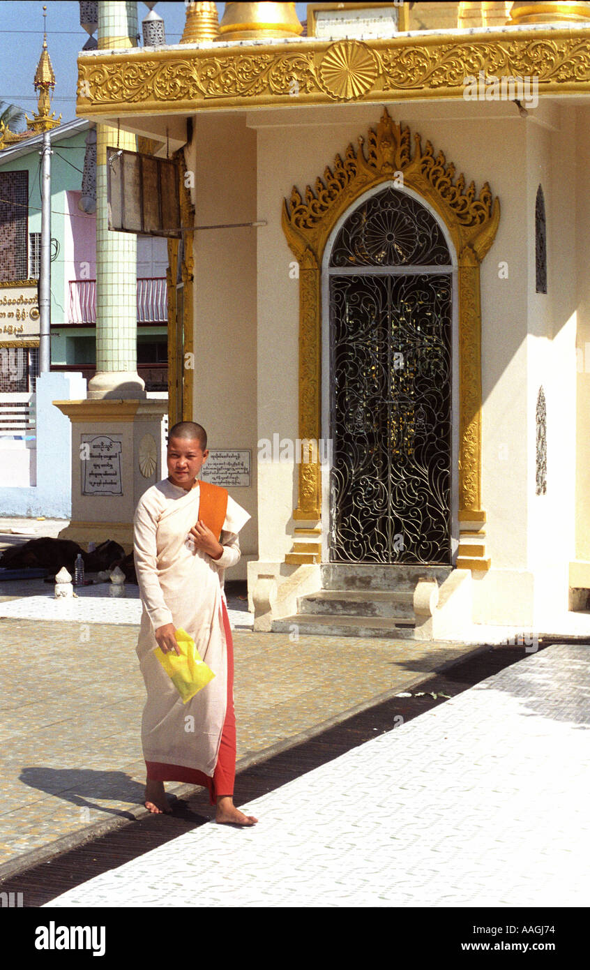 Buddhist Nun Botataung Paya Yangon Myanmar Burma Stock Photo - Alamy