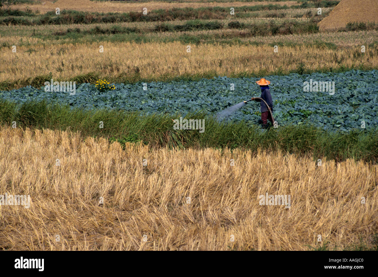 Commercial Mixed Farming