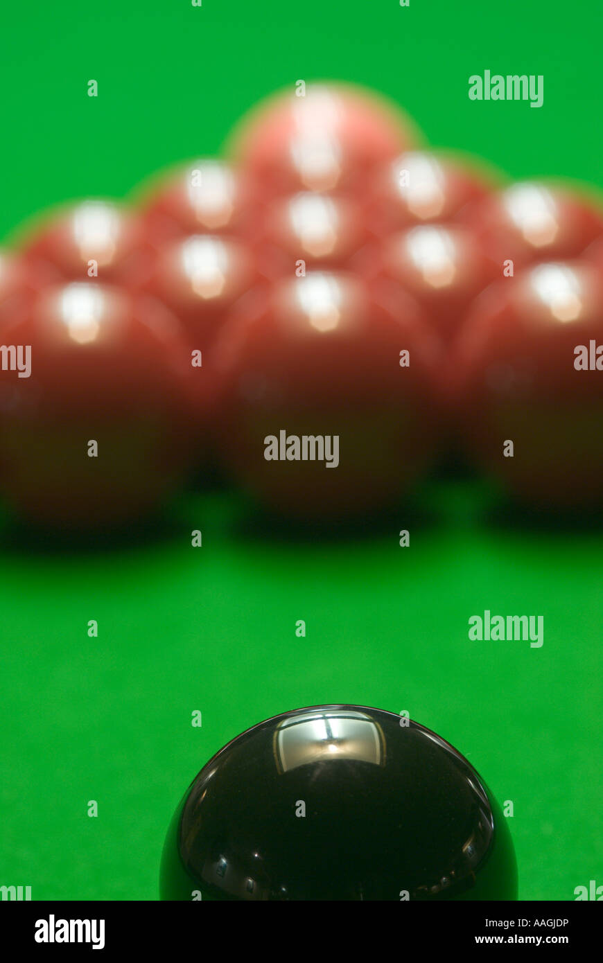 Black ball on the green baize of a snooker table with the reds racked ...