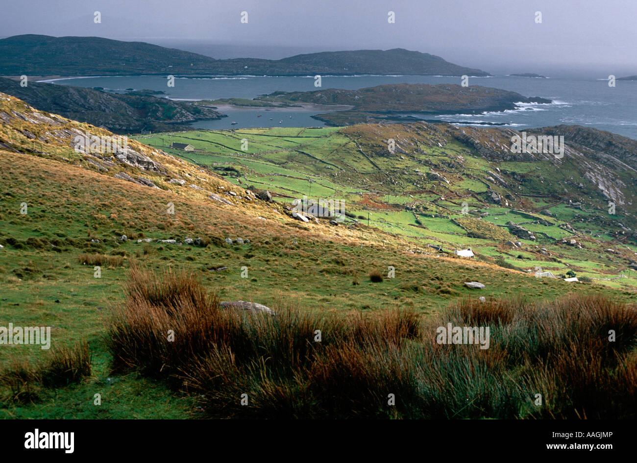 Countryside near Lambs Head Ring of Kerry County Kerry Ireland Stock ...