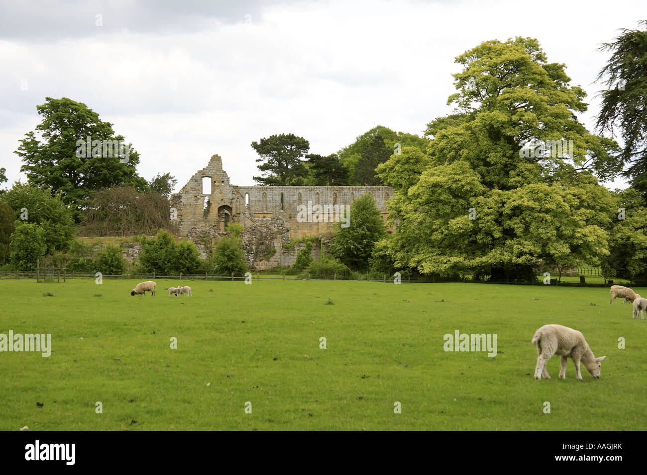 Jervaulx Abbey near Ripon and Masham in North Yorkshire Stock Photo - Alamy