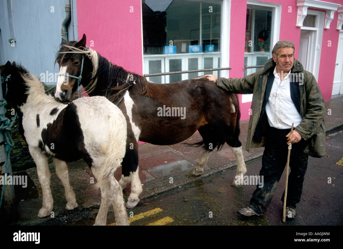 Coachman with horses hi-res stock photography and images - Alamy