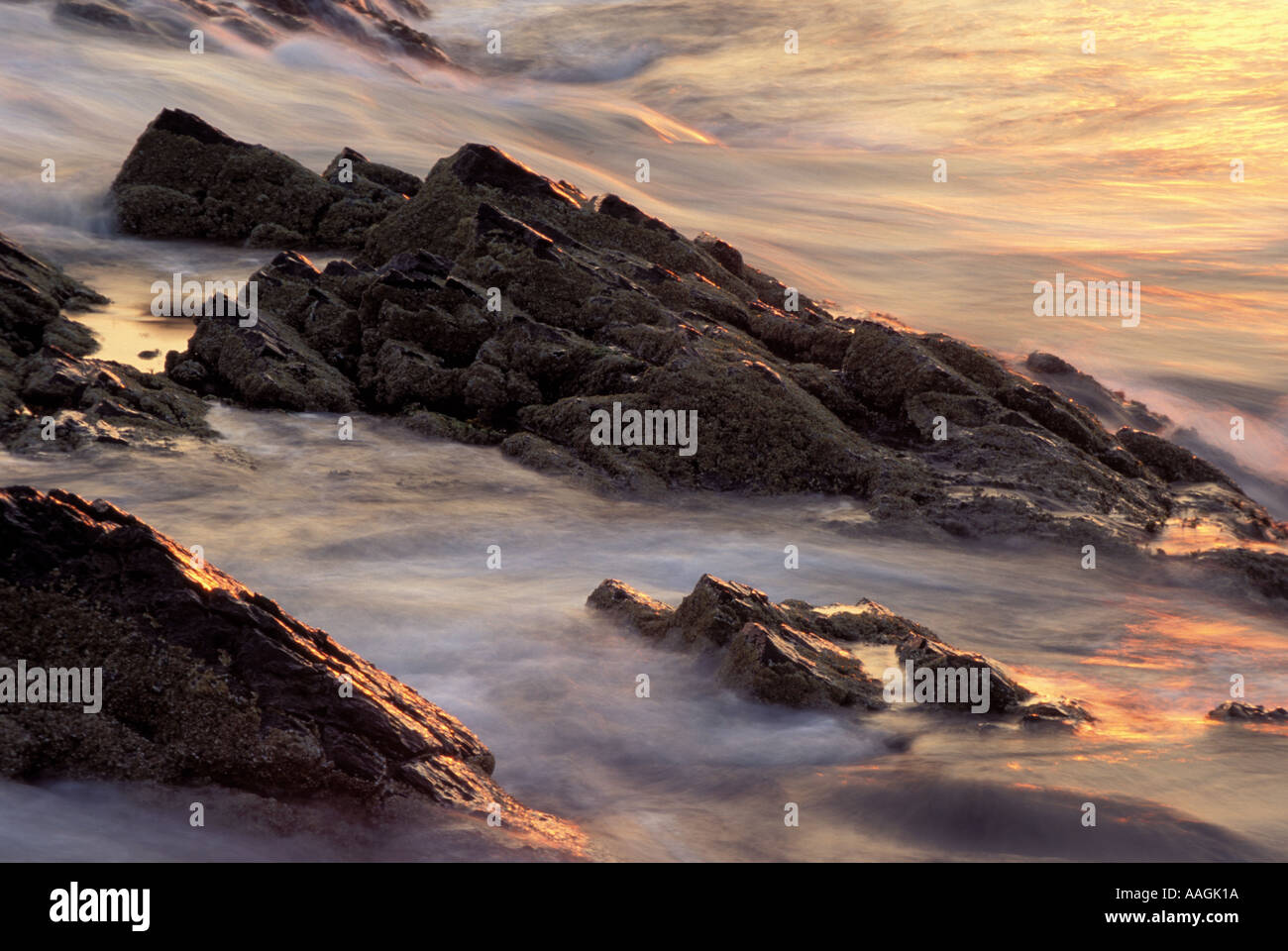 Marginal Way Ogunquit ME Rocks and surf at sunrise Stock Photo - Alamy