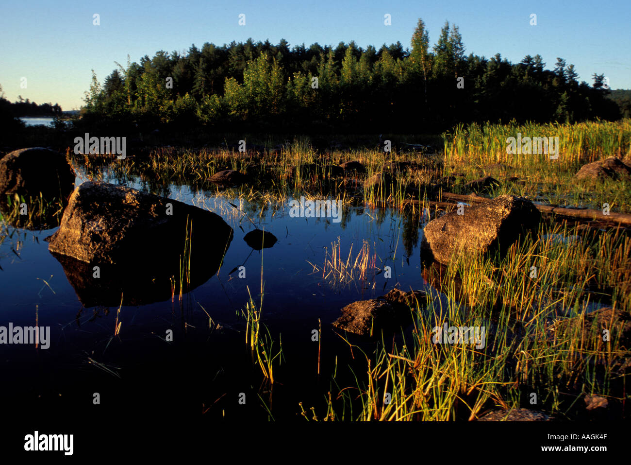 Machias lake hi-res stock photography and images - Alamy