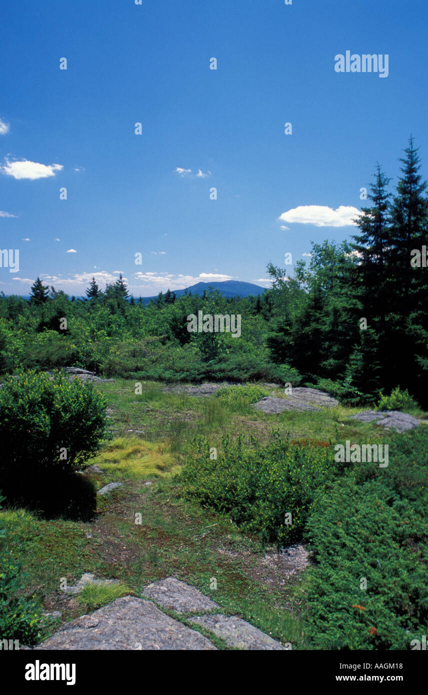Mt Monadnock from the summit of Skatutakee Mountain Harris Center ...