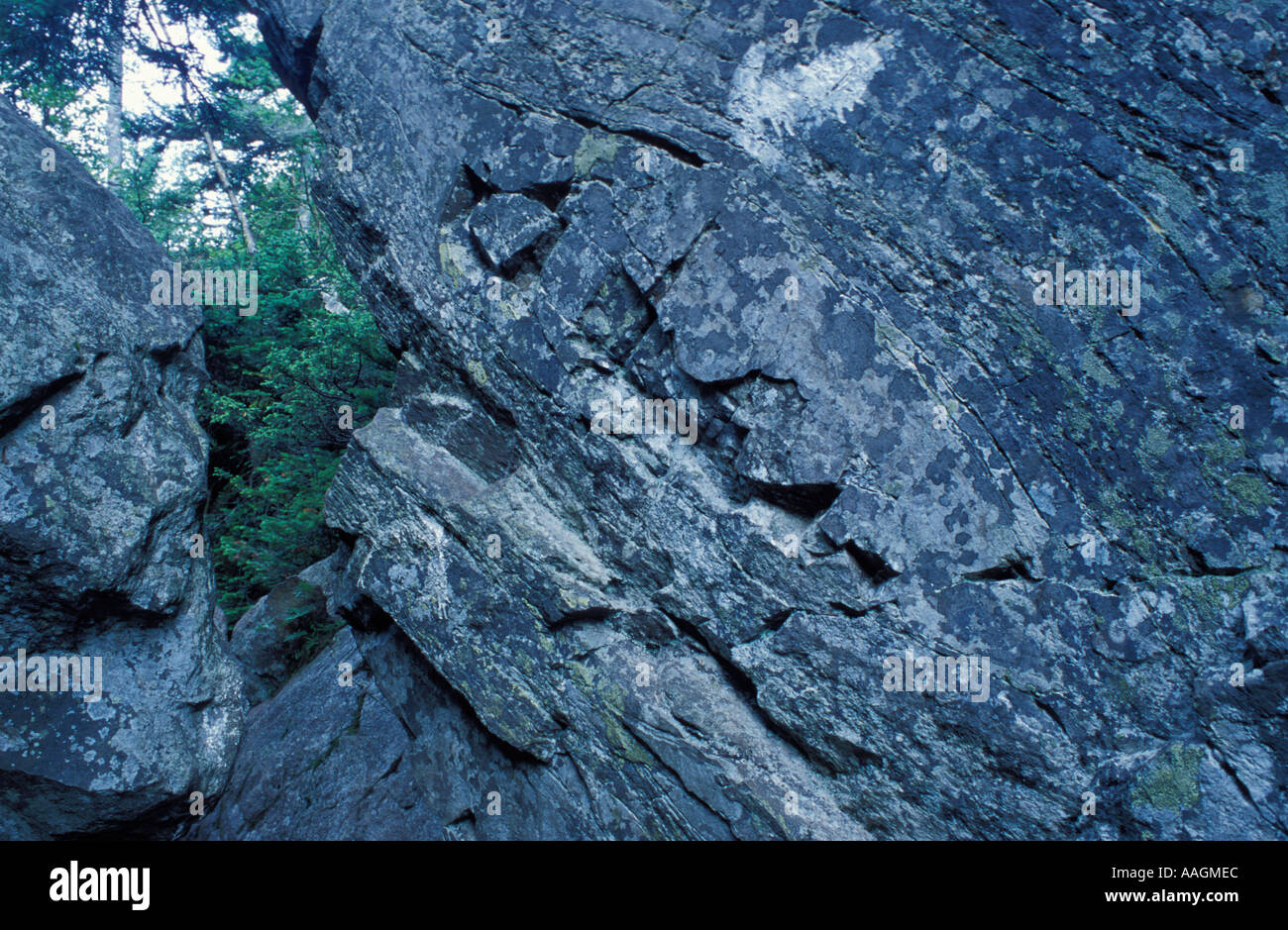 The Mahoosuc Trail through the notch is possibly the hardest mile of ...