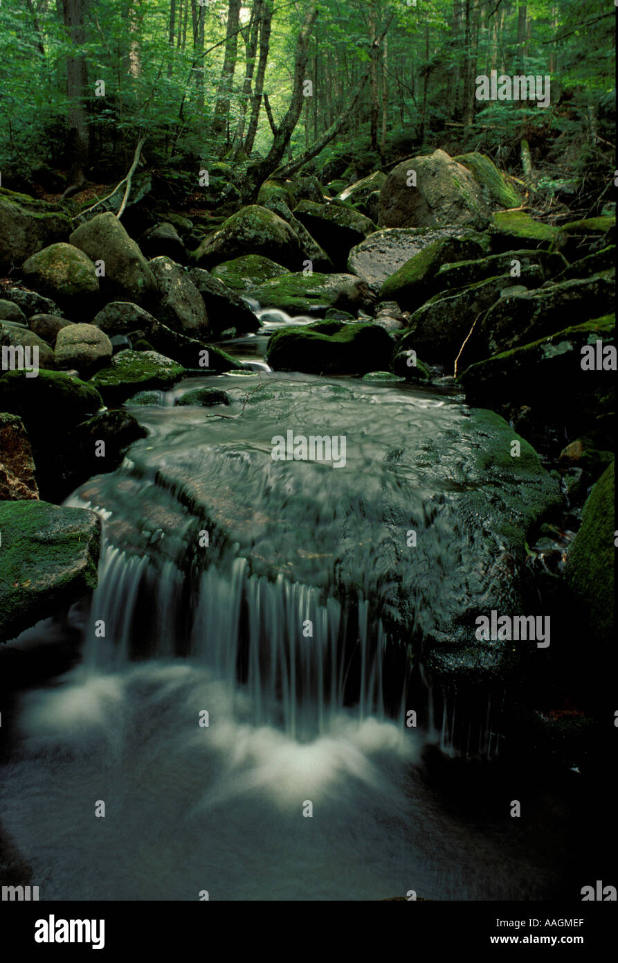One of many cascades in the lush world of the Mahoosuc Mountains Notch ...