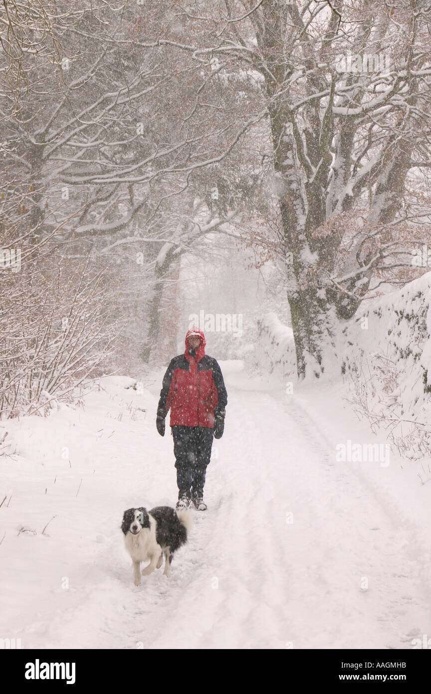 a women walking after a heavy winter snowfall, Skelwyth Fold, Ambleside ...
