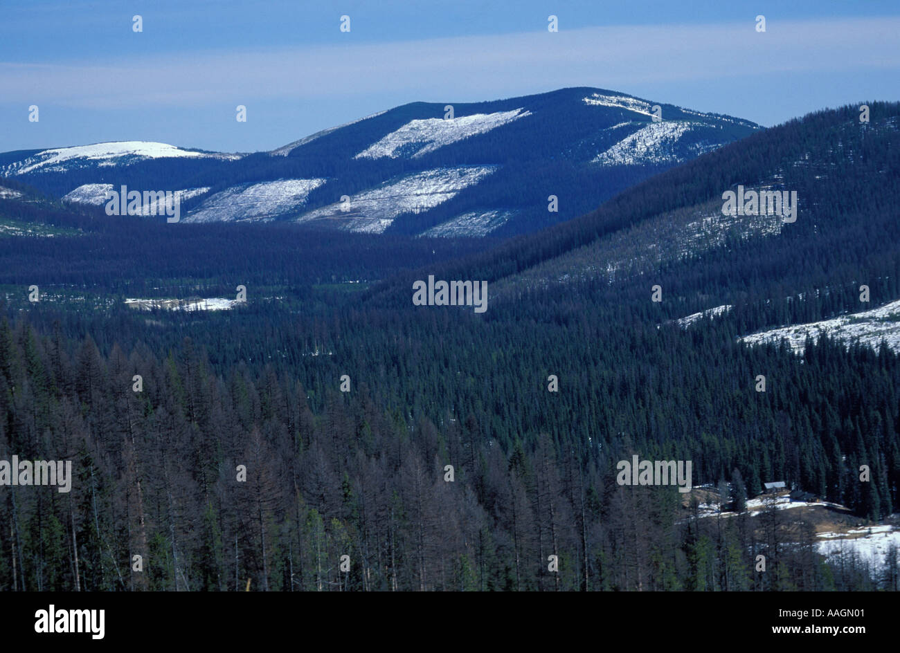 Yaak hi-res stock photography and images - Alamy