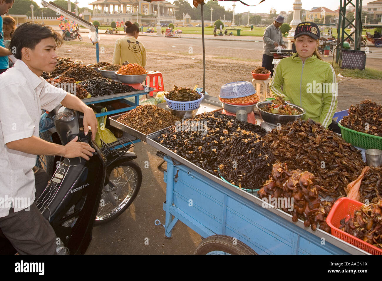 Fried insects Phnom Penh Cambodia Stock Photo - Alamy