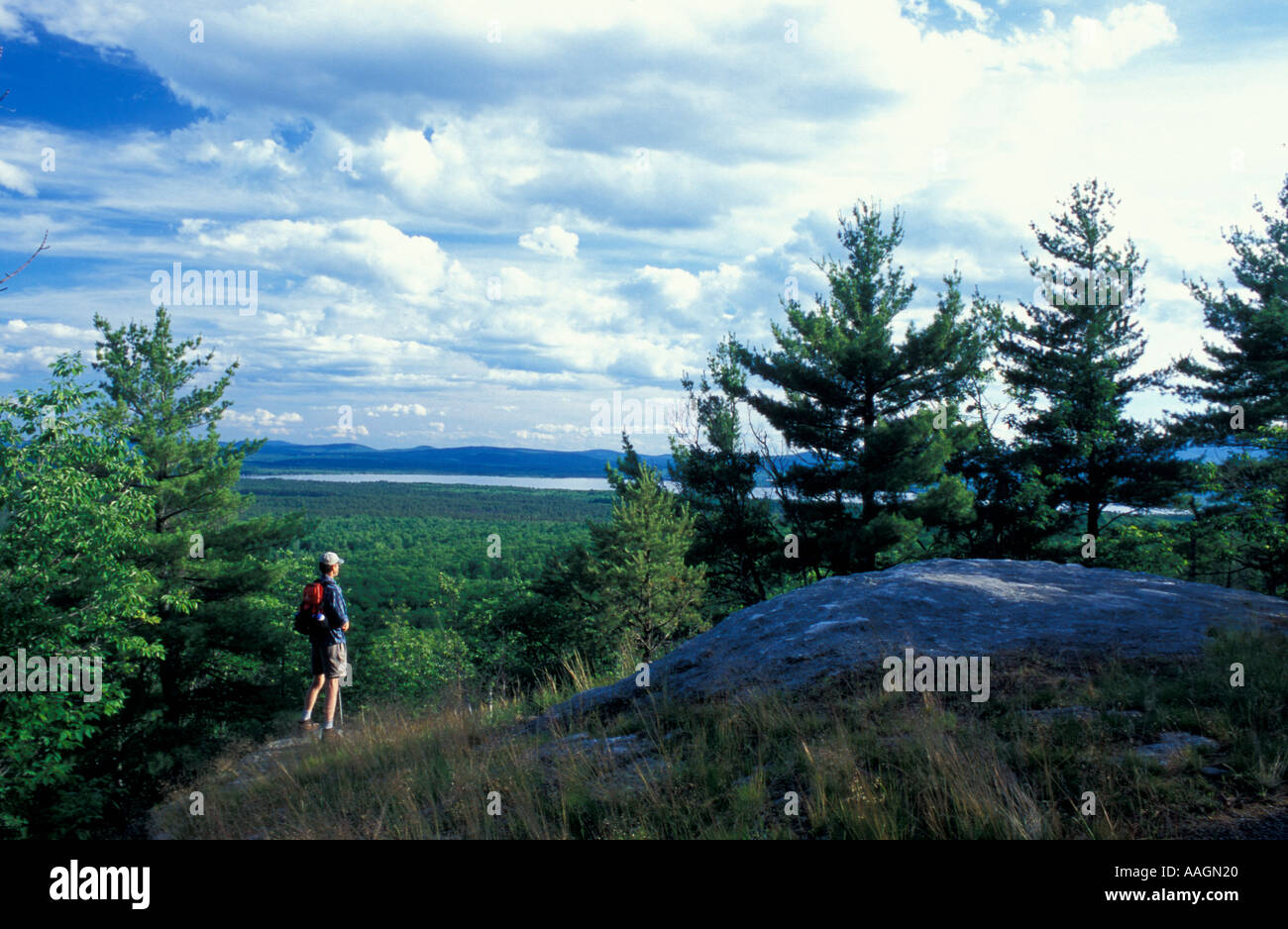 A hiker on Mary s Mountain in the Freedon Town Forest in Freedon NH ...