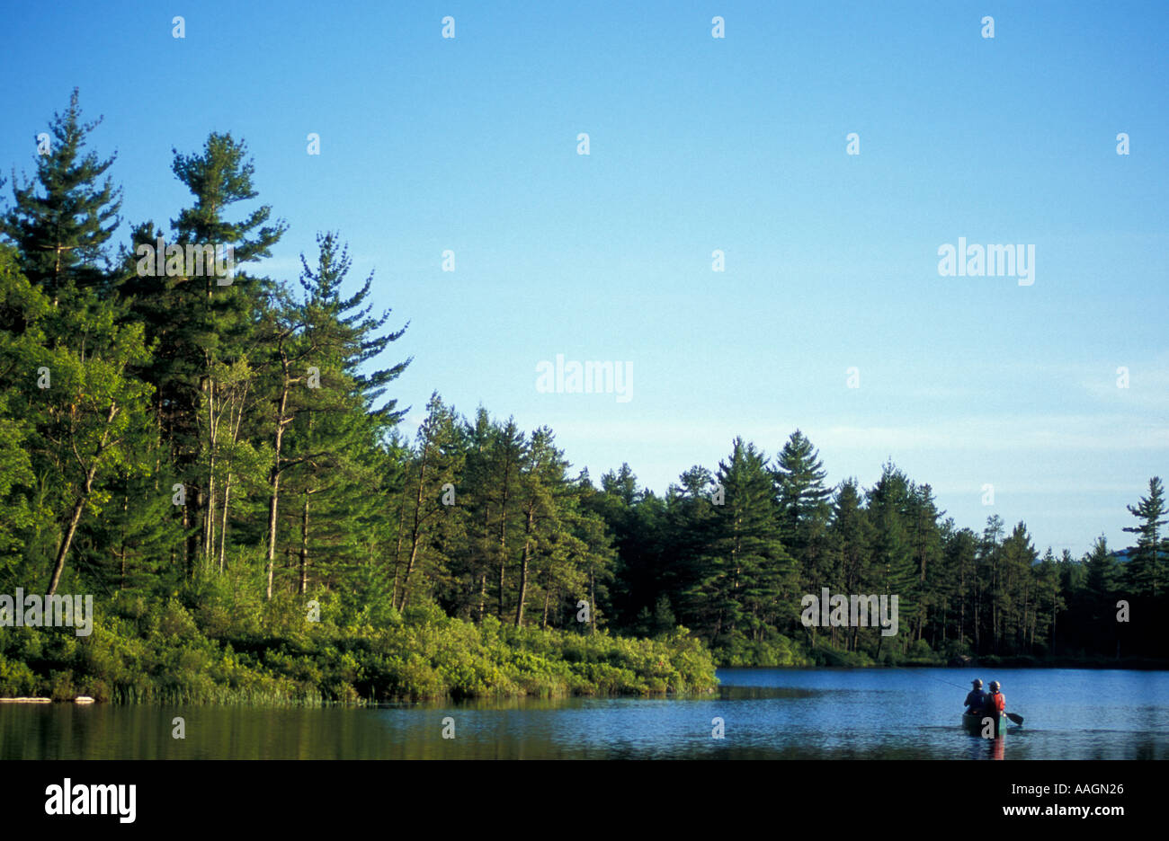 Freedom NH Fly fishing from a canoe in Trout Pond Part of future town ...