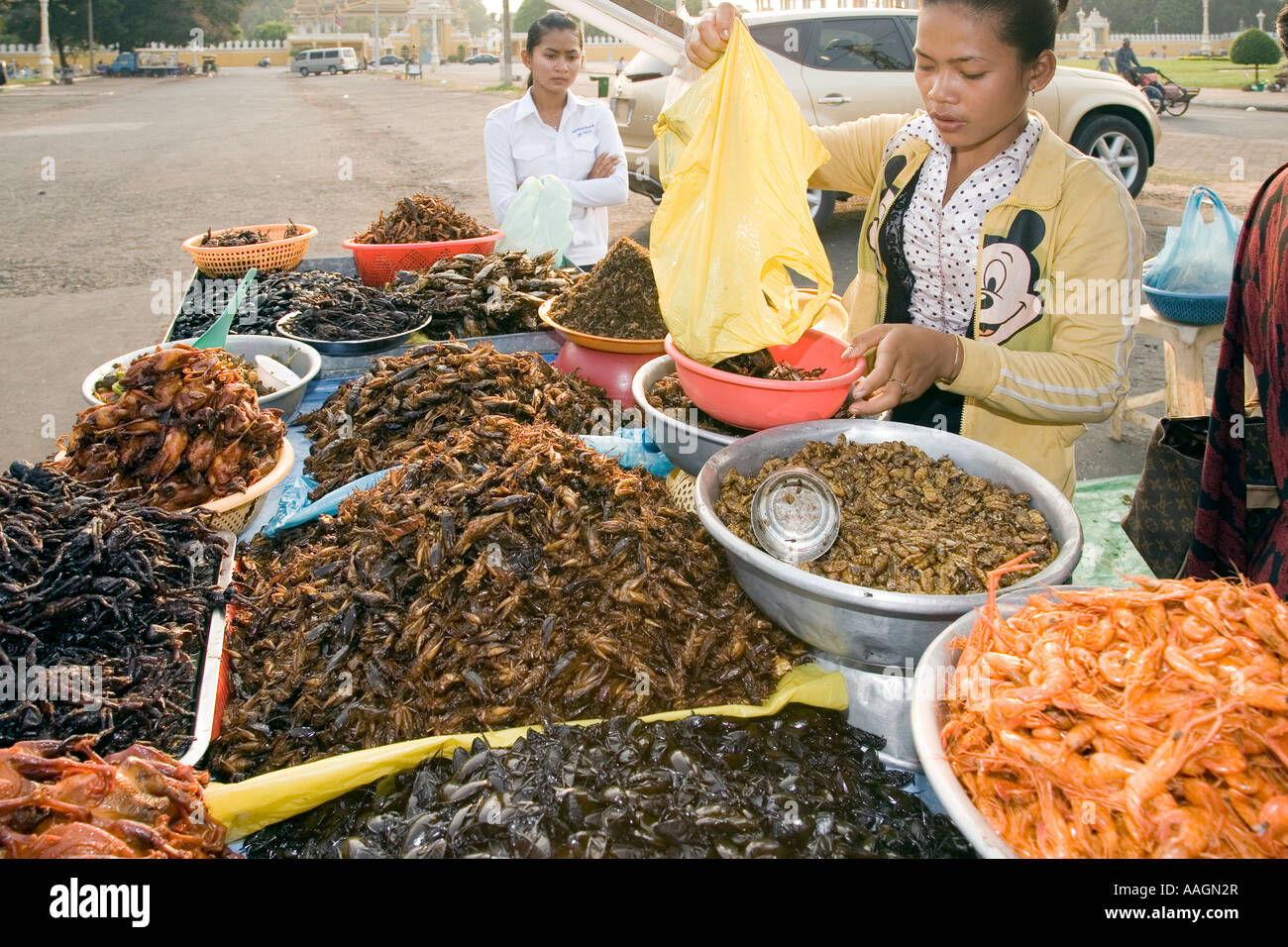 Food stall selling insects, Phnom Penh, Cambodia Stock Photo - Alamy