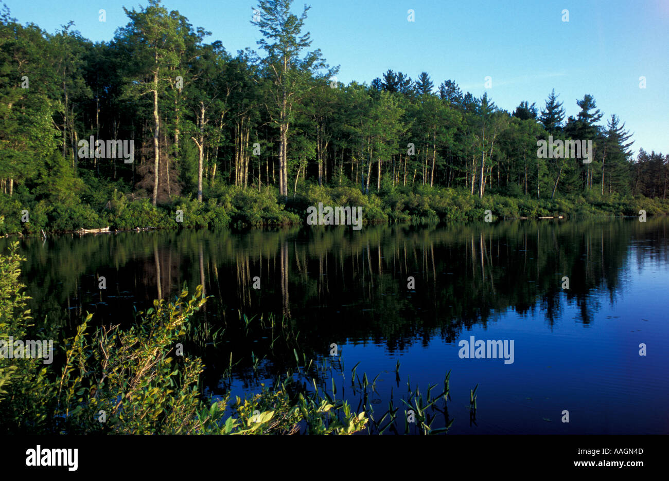 Freedom NH Trout Pond in Freedom NH New Hampshire Lakes Region Stock ...